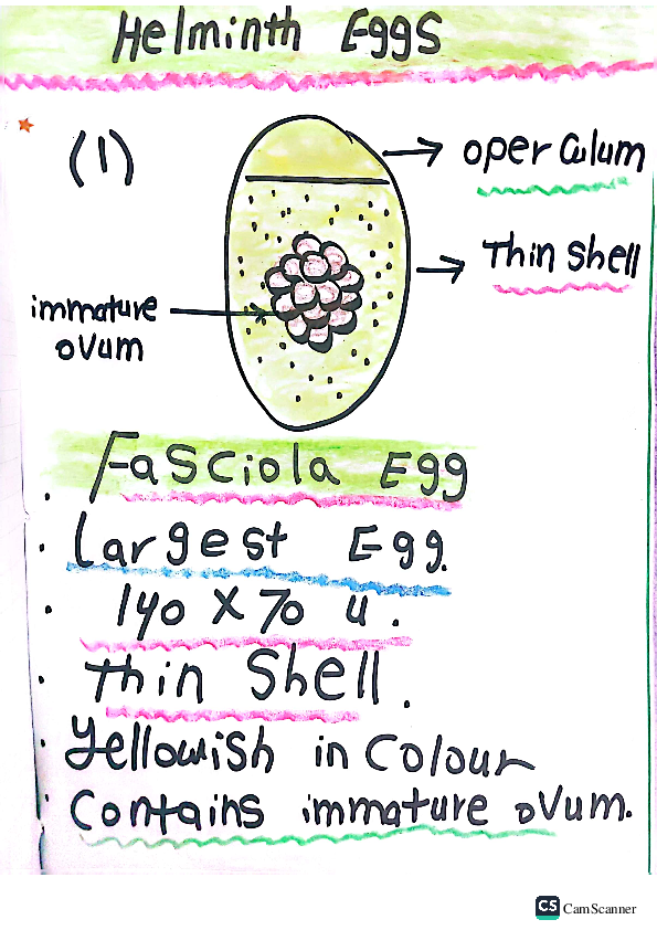 (PDF) Ova of helminths, Marwa Omar