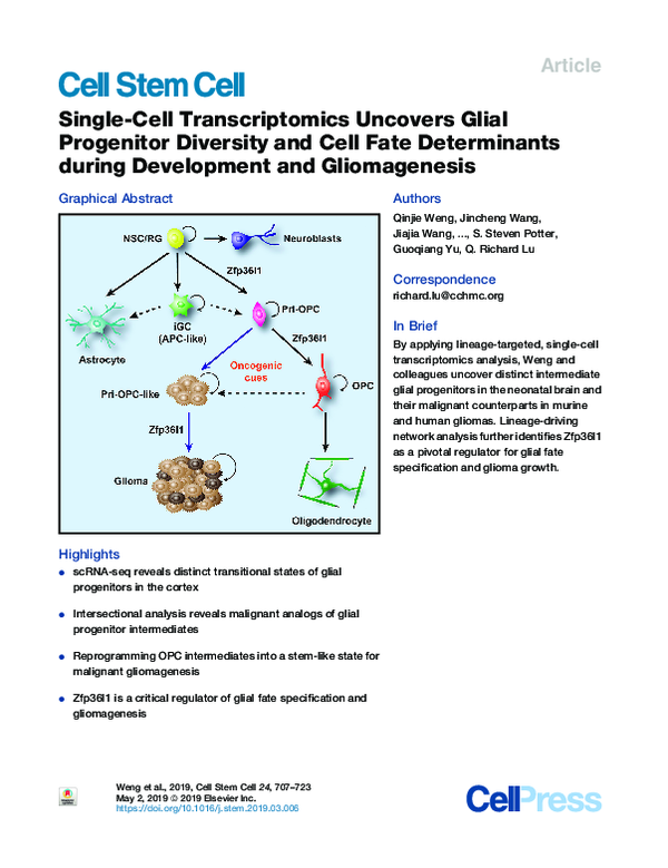 (PDF) Single-Cell Transcriptomics Uncovers Glial Progenitor Diversity ...