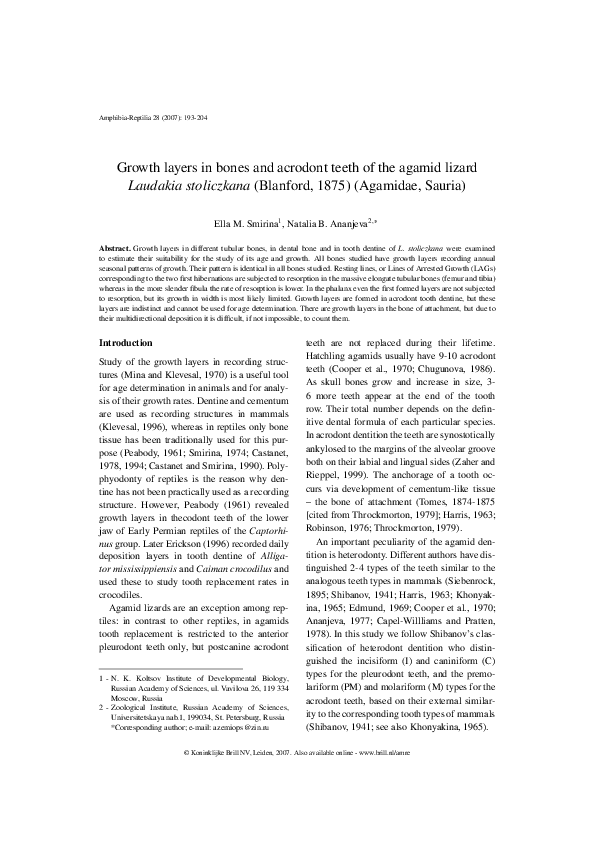 (PDF) Growth layers in bones and acrodont teeth of the agamid lizard ...