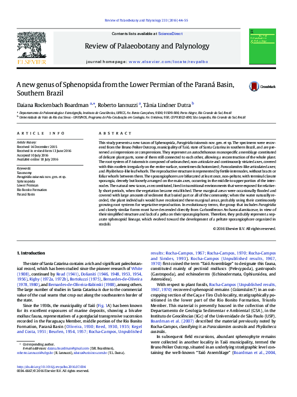 (PDF) A new genus of Sphenopsida from the Lower Permian of the Paraná ...