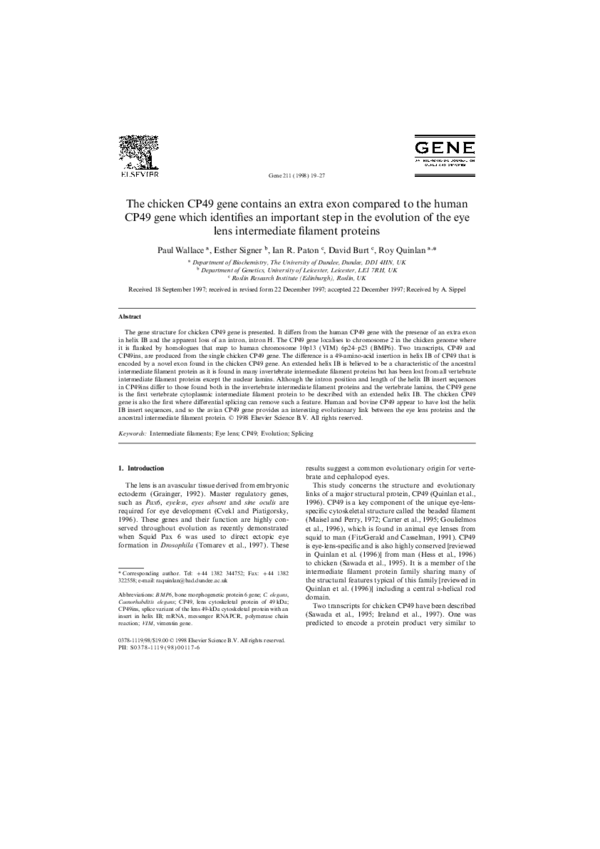 (PDF) The chicken CP49 gene contains an extra exon compared to the ...