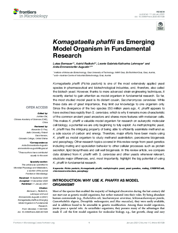 (PDF) Komagataella phaffii as Emerging Model Organism in Fundamental ...