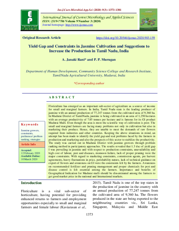 (PDF) Yield Gap and Constraints in Jasmine Cultivation and Suggestions ...