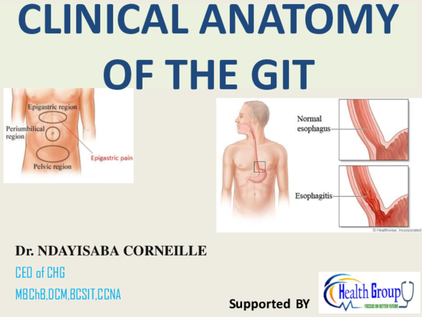 (PDF) Clinical anatomy of the GIT