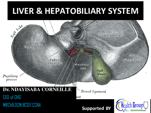 (PDF) Liver & Hepatobiliary System