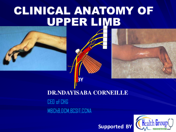 (PDF) CLINICAL ANATOMY OF UPPER LIMB