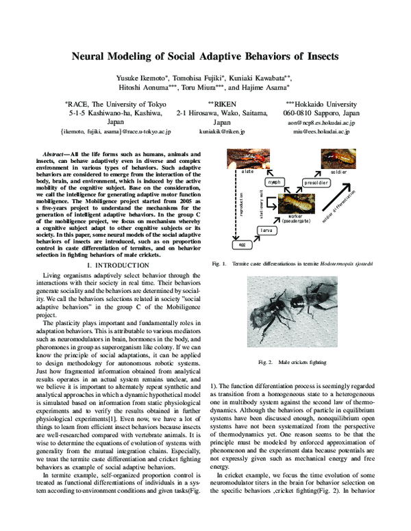 (PDF) Neural Modeling of Social Adaptive Behaviors of Insects | Toru ...