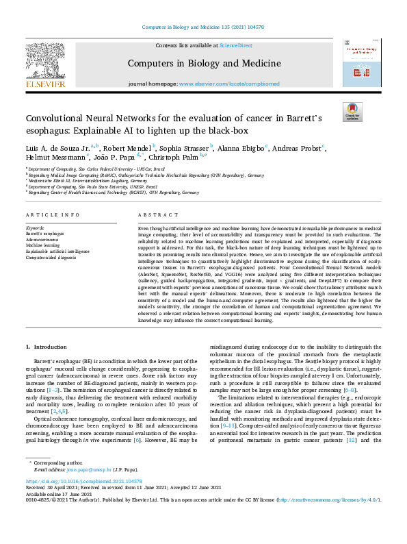 (PDF) Convolutional Neural Networks for the evaluation of cancer in Barrett's esophagus ...