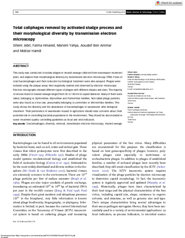 (PDF) Total coliphages removal by activated sludge process and their ...