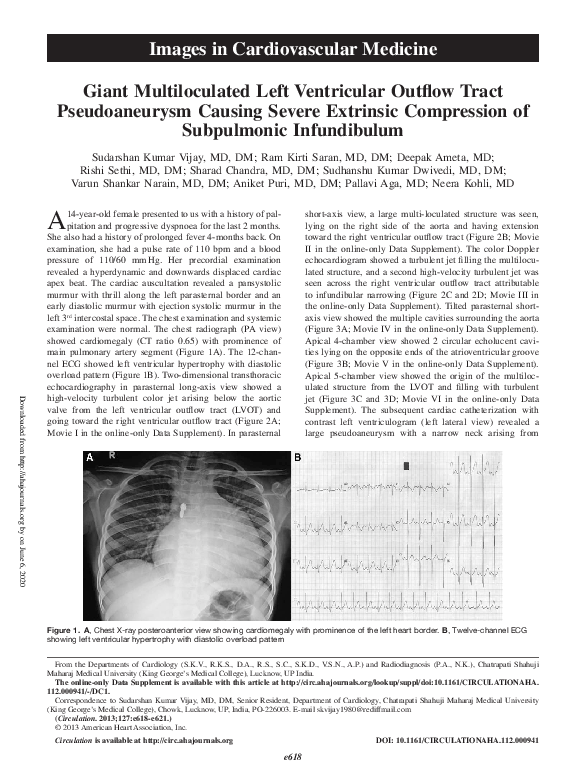 (PDF) Giant Multiloculated Left Ventricular Outflow Tract ...
