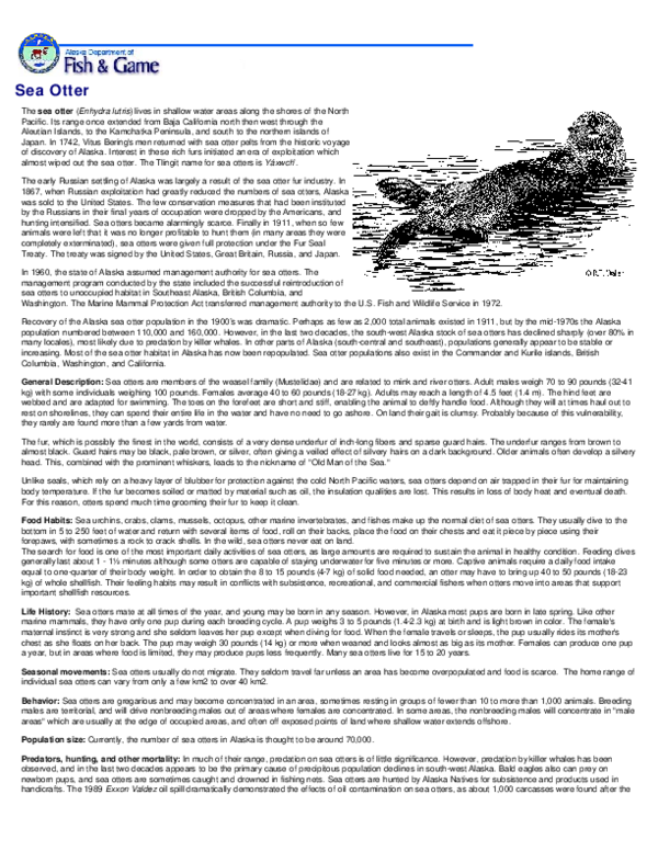 (PDF) The Sea Otter