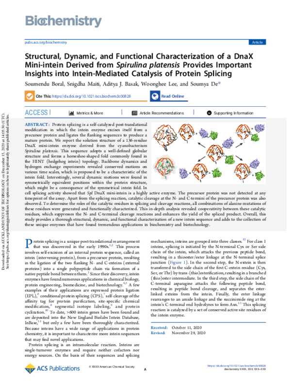 (PDF) Structural, Dynamic, and Functional Characterization of a DnaX ...