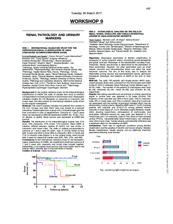 (PDF) WS9_1 International Validation Study for the Histopathological Classification of ANCA ...