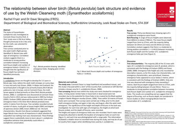 (PPT) The relationship between silver birch (Betula pendula) bark ...