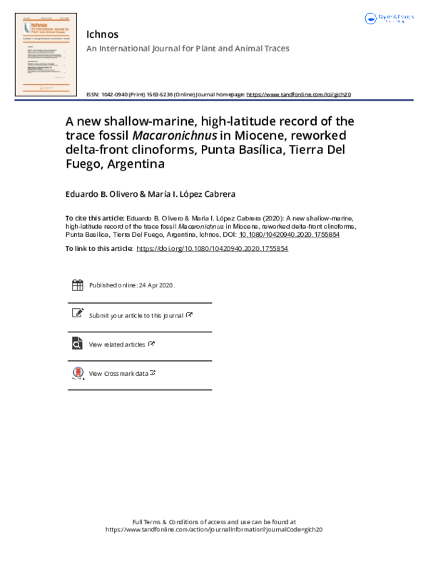 (PDF) A new shallow-marine, high-latitude record of the trace fossil ...