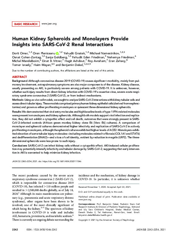 (PDF) Human Kidney Spheroids and Monolayers Provide Insights into SARS ...