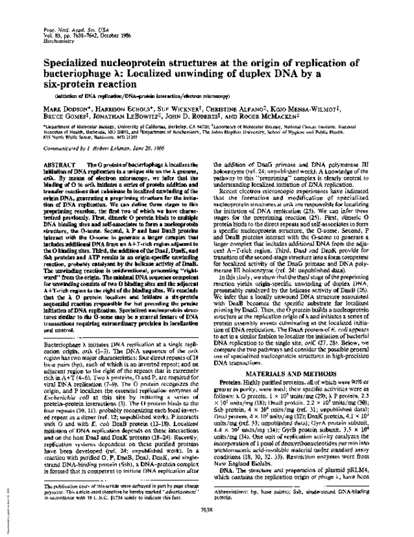 (PDF) Specialized nucleoprotein structures at the origin of replication ...
