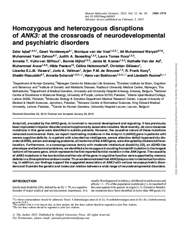 (PDF) Homozygous and heterozygous disruptions of ANK3: at the ...
