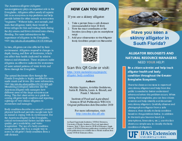 (PDF) Have you seen a skinny alligator in south Florida? [trifold brochure]