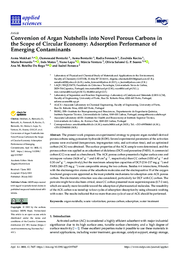 (PDF) Conversion of Argan Nutshells into Novel Porous Carbons in the ...