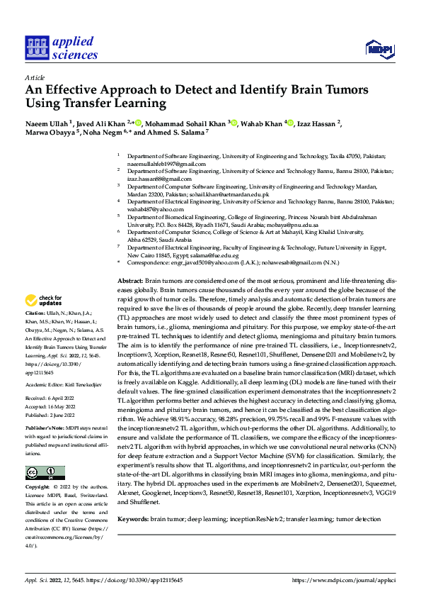 (PDF) An Effective Approach to Detect and Identify Brain Tumors Using Transfer Learning