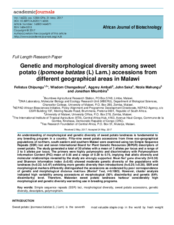 (PDF) Genetic and morphological diversity among sweet potato (Ipomoea batatas (L) Lam ...