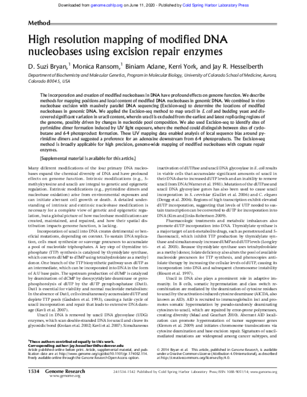(PDF) High resolution mapping of modified DNA nucleobases using ...