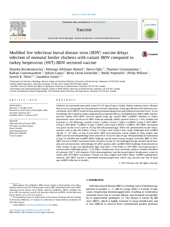 (PDF) Modified live infectious bursal disease virus (IBDV) vaccine ...