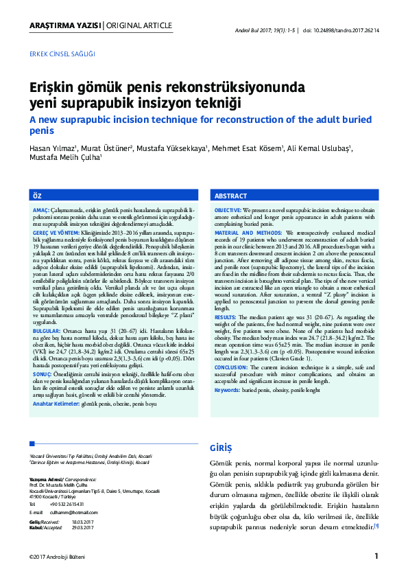 (PDF) Erişkin gömük penis rekonstrüksiyonunda yeni suprapubik insizyon ...
