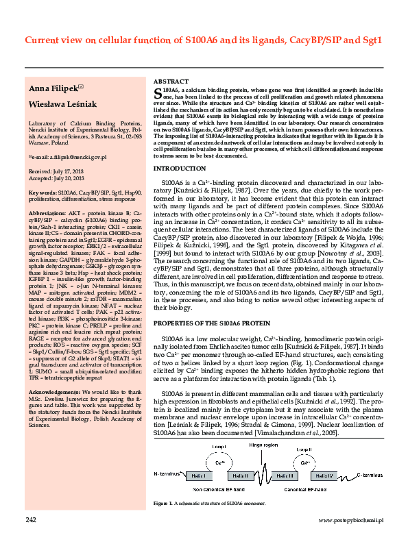 (PDF) Current view on cellular function of S100A6 and its ligands ...