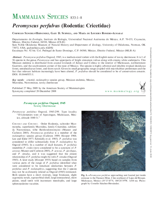 (PDF) Peromyscus perfulvus (Rodentia: Cricetidae)
