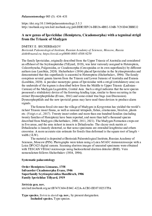(PDF) A new genus of Ipsviciidae (Hemiptera, Cicadomorpha) with a ...