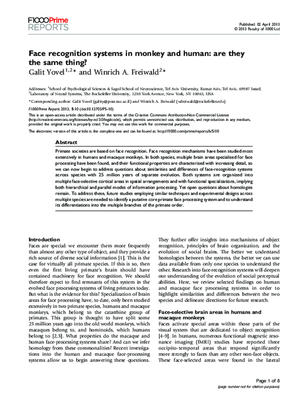 (PDF) Face recognition systems in monkey and human: are they the same ...