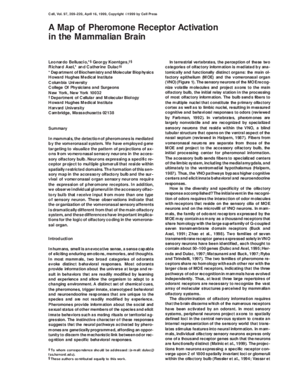(PDF) A Map of Pheromone Receptor Activation in the Mammalian Brain