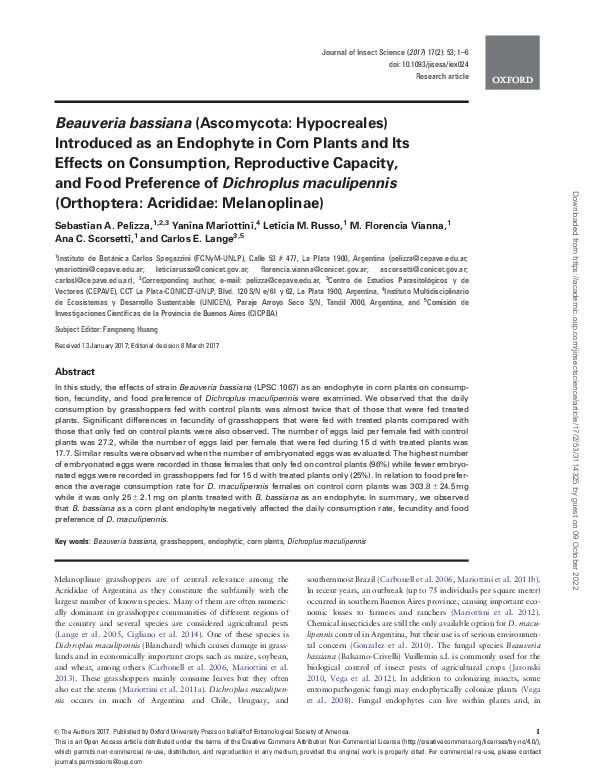 (PDF) Beauveria bassiana (Ascomycota: Hypocreales) Introduced as an Endophyte in Corn Plants and ...
