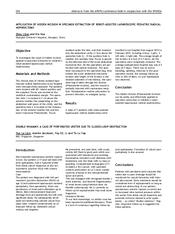 (PDF) Double whammy: a case of perforated ureter due to closed-loop ...