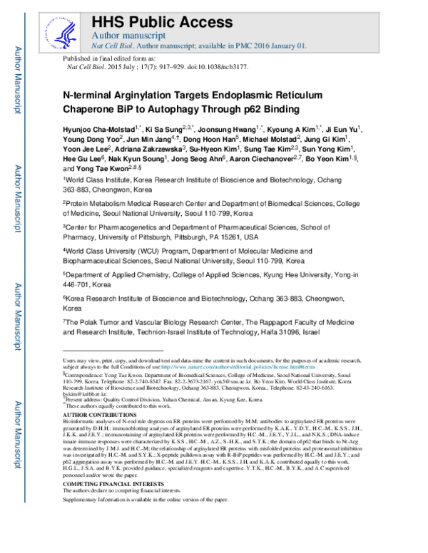 (PDF) Amino-terminal arginylation targets endoplasmic reticulum ...