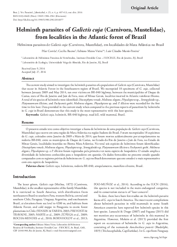 (PDF) Helminth parasites of Galictis cuja (Carnivora, Mustelidae), from ...