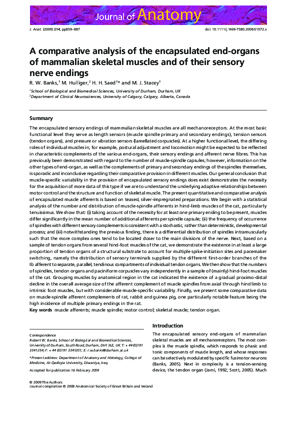 (PDF) A comparative analysis of the encapsulated end-organs of ...