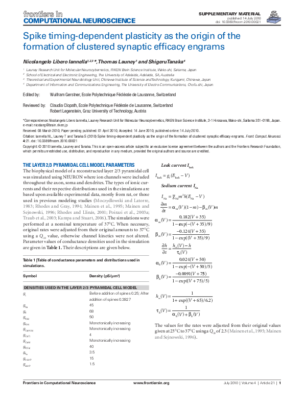 (PDF) Spike timing-dependent plasticity as the origin of the formation of clustered synaptic ...