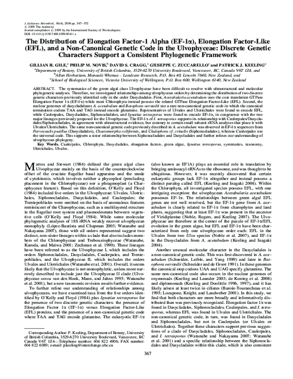 (PDF) The Distribution of Elongation Factor-1 Alpha (EF-1α), Elongation ...