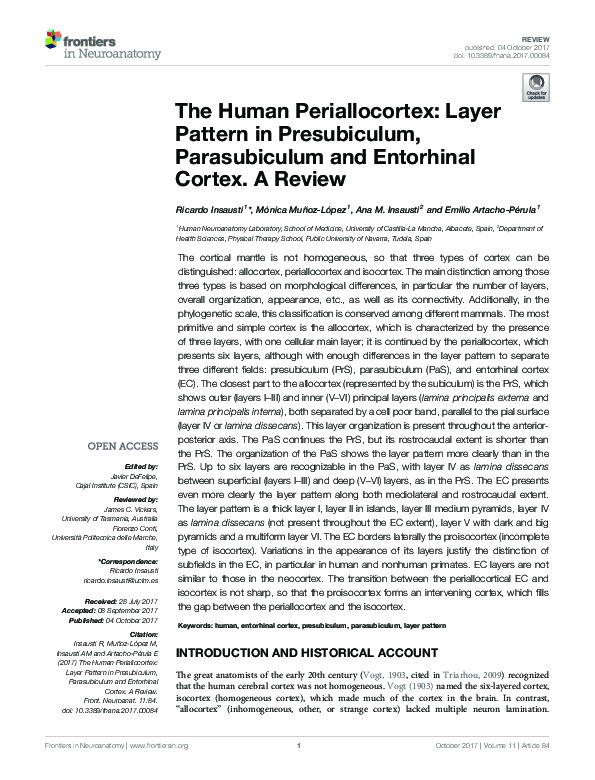 (PDF) The Human Periallocortex: Layer Pattern in Presubiculum ...