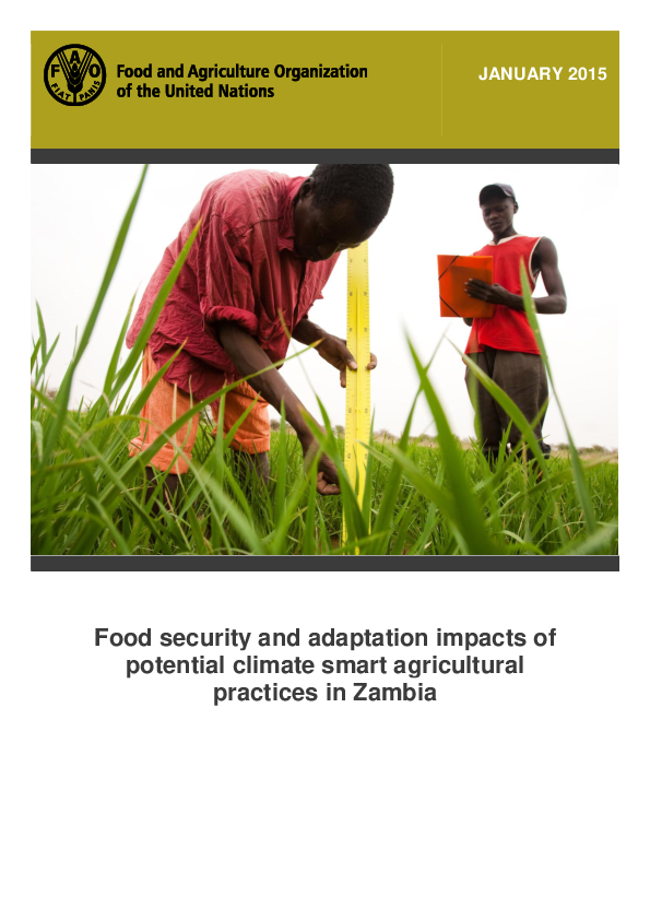 (PDF) Food security and adaptation impacts of potential climate smart agricultural practices in ...