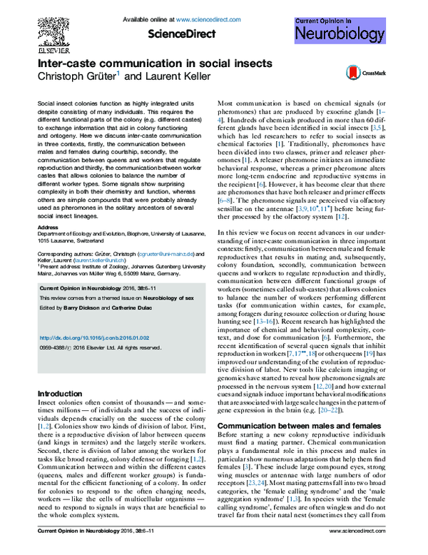 (PDF) Inter-caste communication in social insects