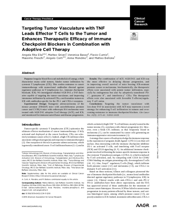 (PDF) Targeting Tumor Vasculature with TNF Leads Effector T Cells to ...