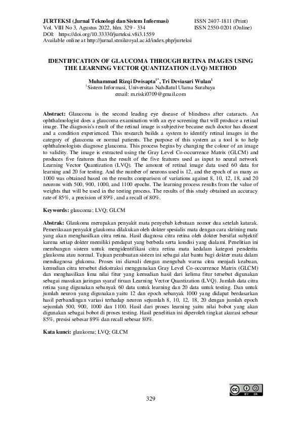 (PDF) Identification of Glaucoma Through Retina Images Using the Learning Vector Quantization ...