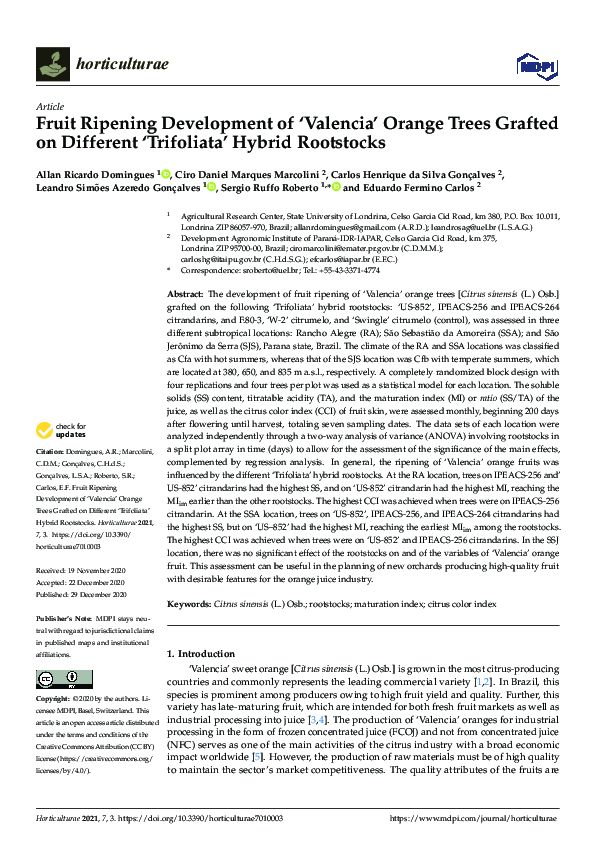 (PDF) Fruit Ripening Development of ‘Valencia’ Orange Trees Grafted on ...