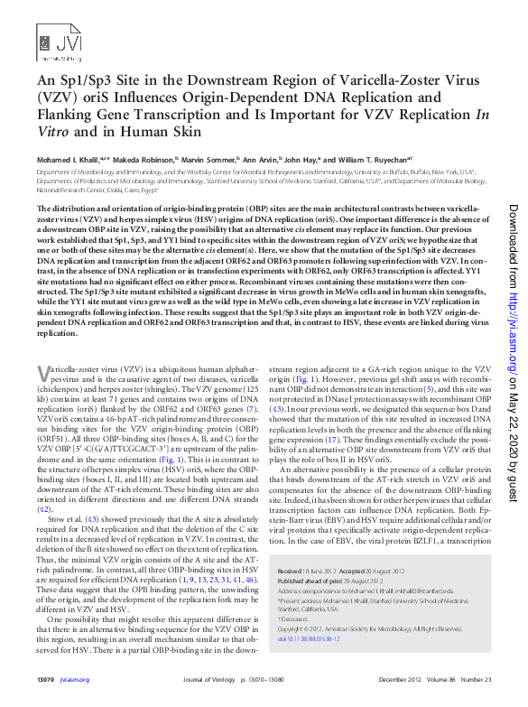 (PDF) An Sp1/Sp3 Site in the Downstream Region of Varicella-Zoster ...