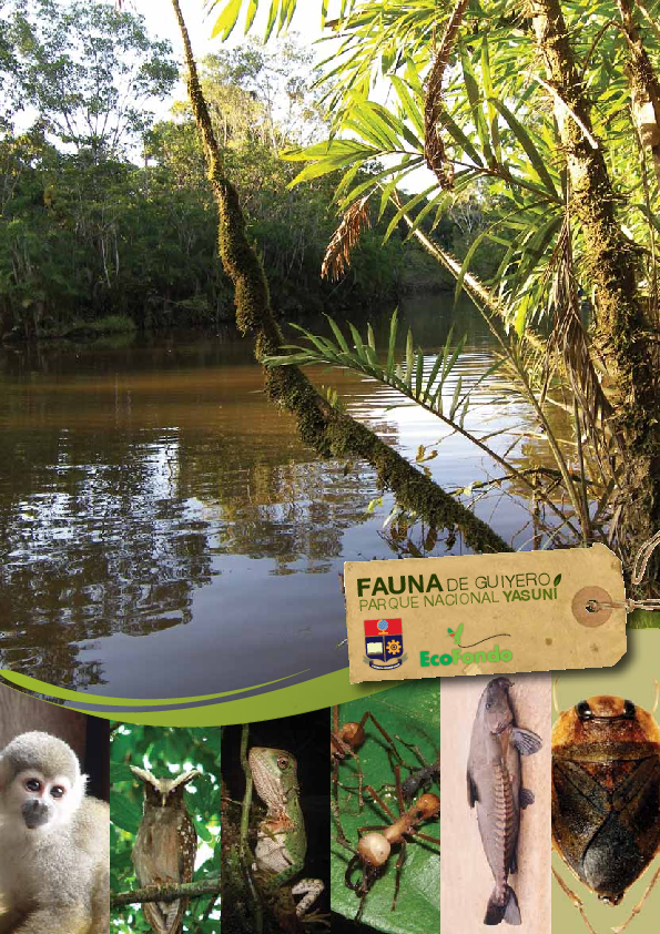 (PDF) Fauna de Guiyero, Parque Nacional Yasuní. Aves