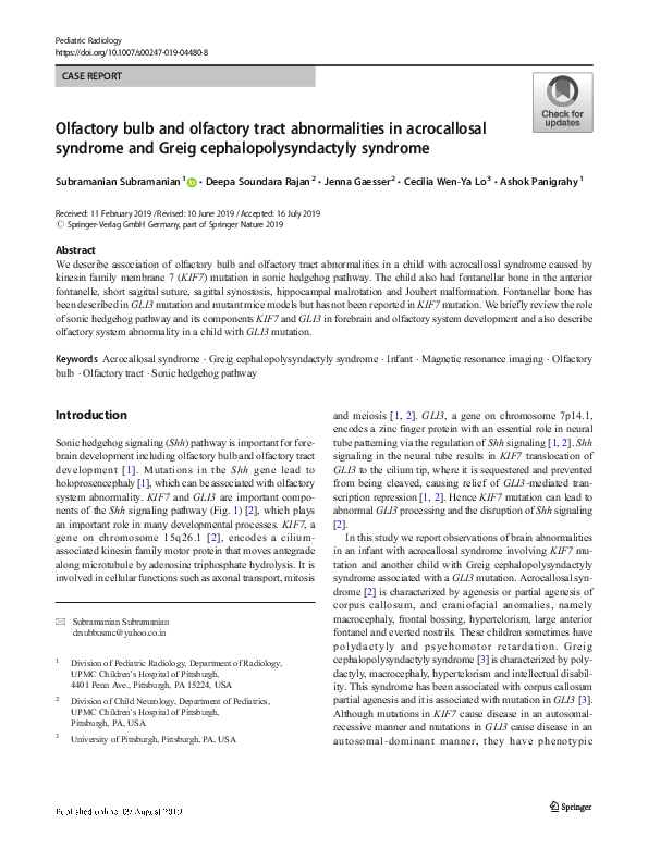 (PDF) Olfactory bulb and olfactory tract abnormalities in acrocallosal syndrome and Greig ...